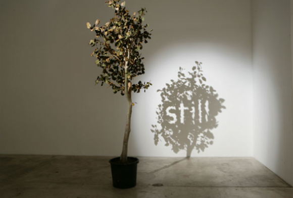 Flora Art Optical Illusion