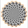 Moving Spiral Optical Illusion