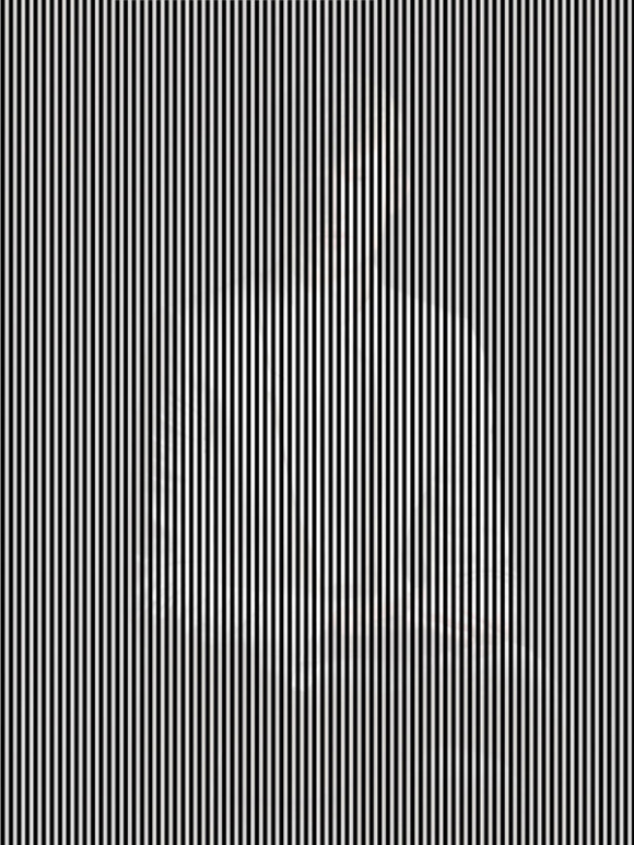 Tilt Your Head to See This Hidden Image Optical Illusion