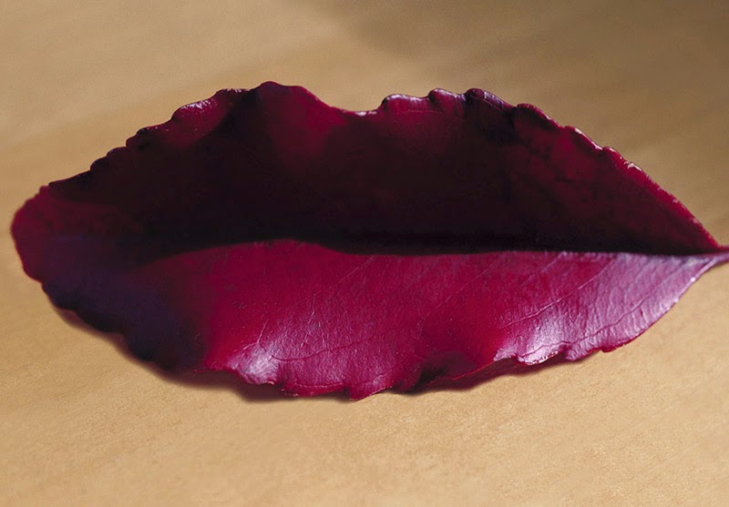 Another Lips or Leaf Optical Illusion