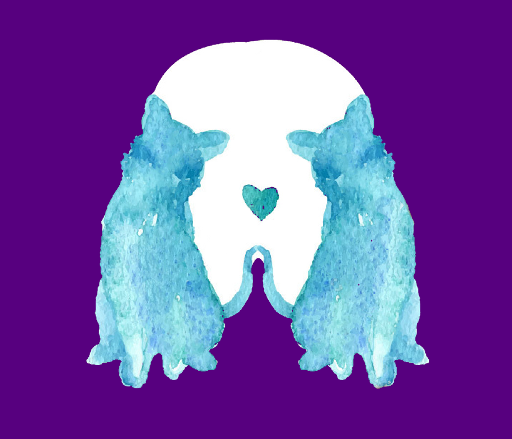 Dog or Cats Illusion