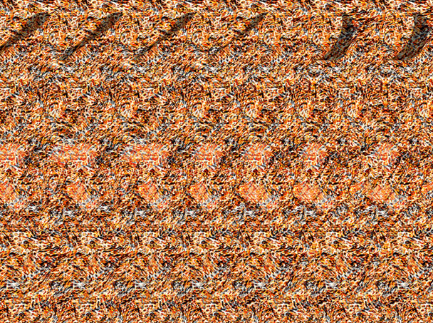 How Stereograms Are Created?